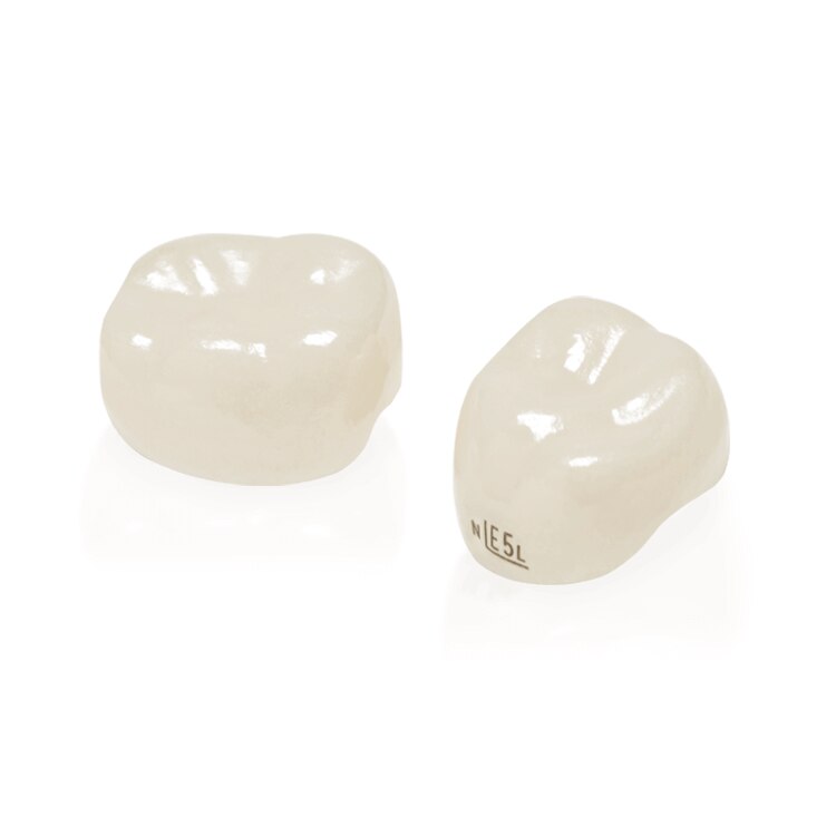 NuSmile ZR Narrow Second Primary Molar Crowns Starter Kit