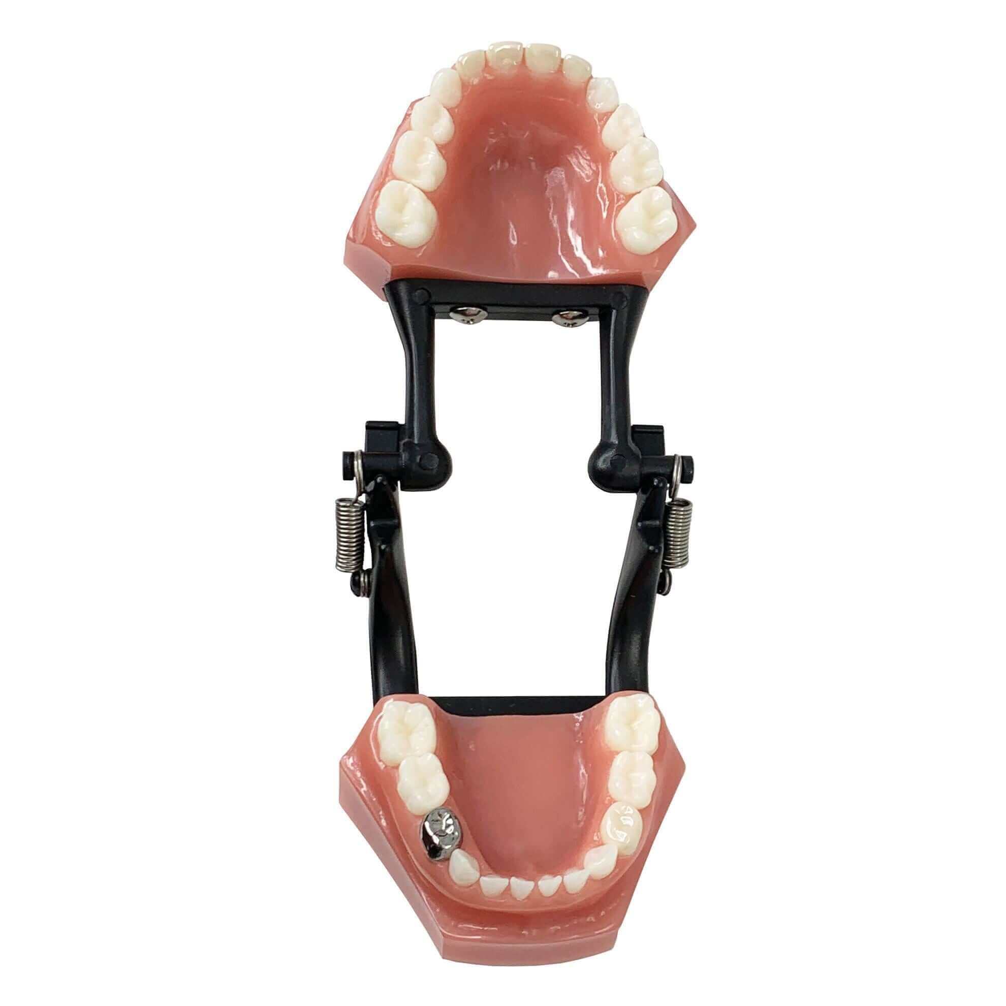 NuSmile Pediatric Crown Consultation Model B | Crown Set